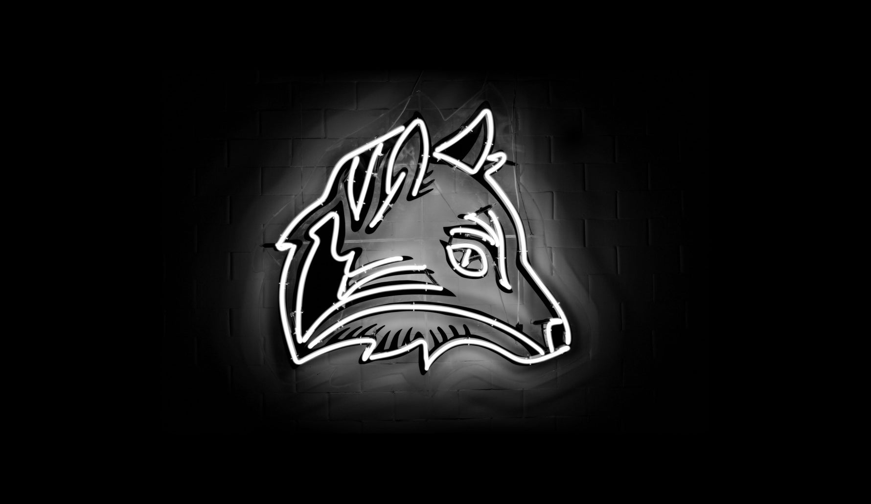 ZERØ Studio PH | Dance Classes | Studio Rentals